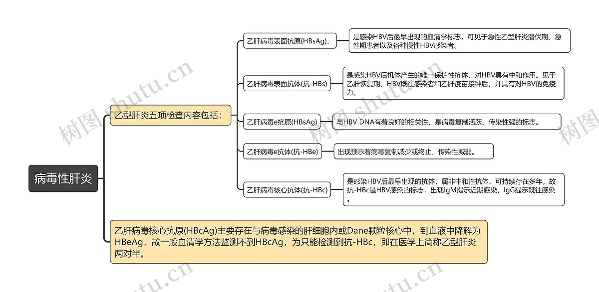 病毒性肝炎知识点思维导图_编号t583343-TreeMind树图