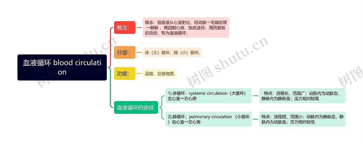 血液循环 blood circulation思维导图_编号t6804473-TreeMind树图