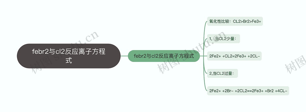 febr2与cl2反应离子方程式思维导图_编号p3672427-TreeMind树图