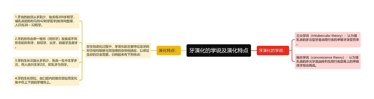 牙演化的学说及演化特点思维导图_编号p6815528-TreeMind树图