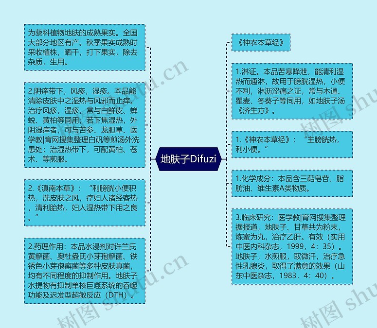 地肤子Difuzi思维导图_编号p7014348-TreeMind树图