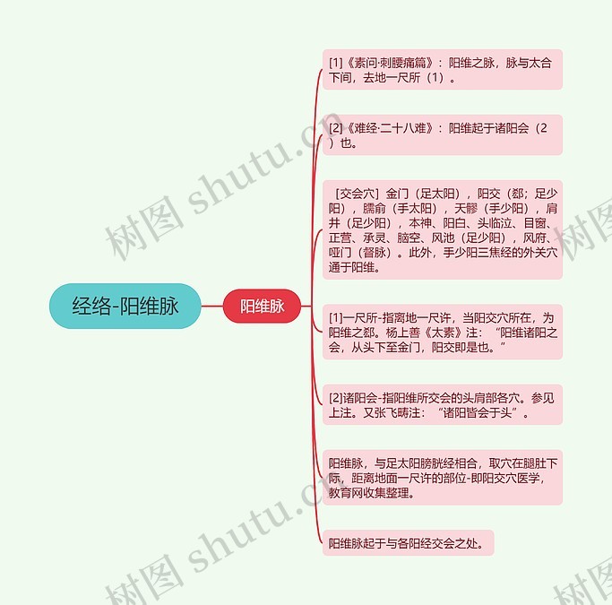 经络 阳维脉思维导图 编号p6998865 Treemind树图