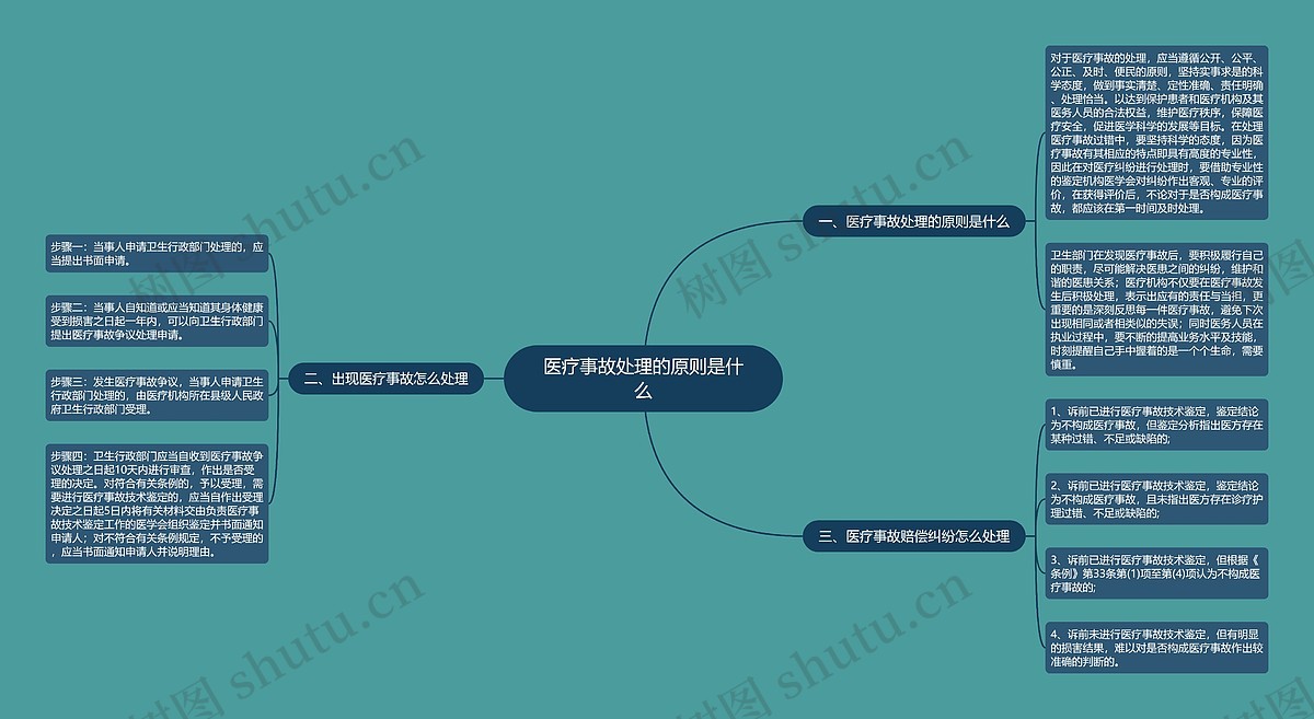 医疗事故处理的原则是什么思维导图_编号p7379203-TreeMind树图