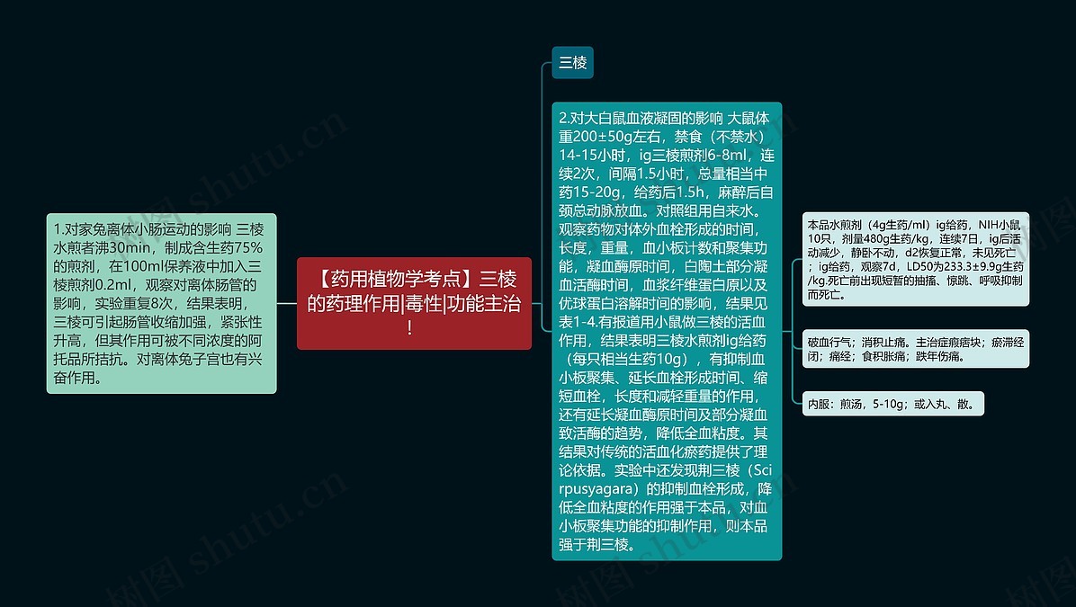 【药用植物学考点】三棱的药理作用|毒性|功能主治！思维导图_编号p7366543-TreeMind树图
