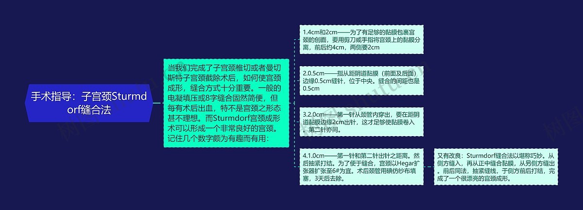 手术指导：子宫颈Sturmdorf缝合法思维导图_编号p7544232-TreeMind树图