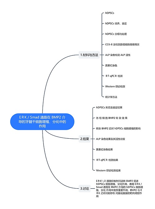 ERK / Smad 通路在 BMP2 介导的牙髓干细胞增殖、分化中的作用思维导图_编号c6941704-TreeMind树图