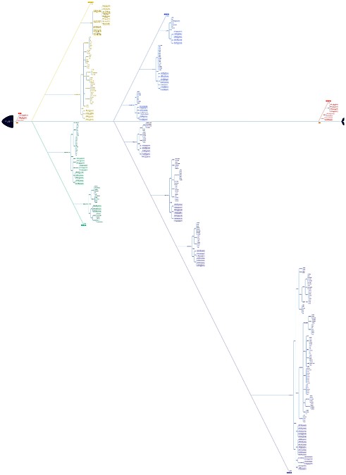 Jack Cui - Python 学习路线一条龙思维导图_编号w4571762-TreeMind树图
