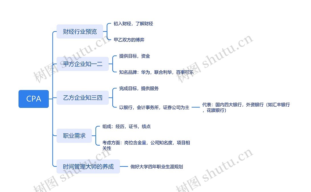 CPA思维导图_编号x6909570-TreeMind树图